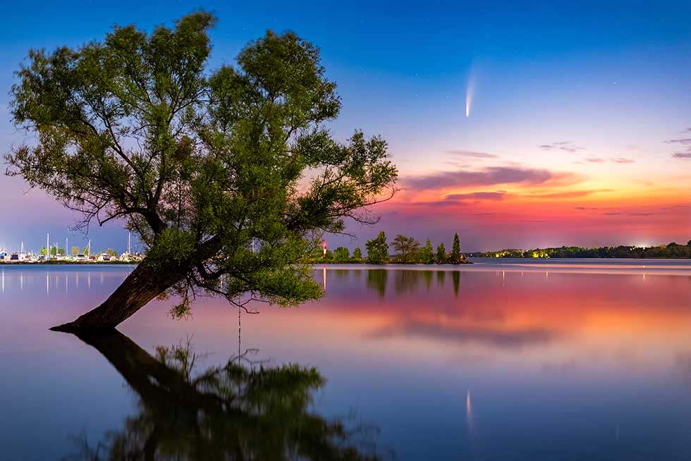 Starry Starry Night | Escarpment Magazine