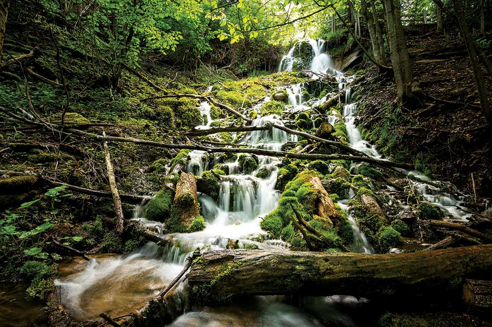 Hiking Blue Mountain – The Scenic Route | Escarpment Magazine